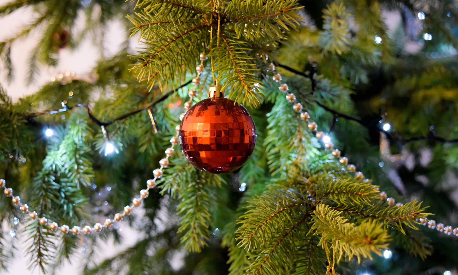 7 Perfect Christmas Movies That Are Better When High