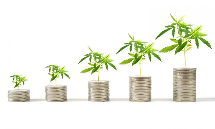How To Invest In Marijuana Stocks - The Fresh Toast