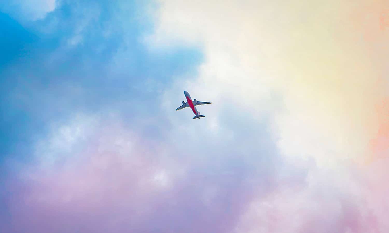 What You Should Know About Flying With CBD - The Fresh Toast