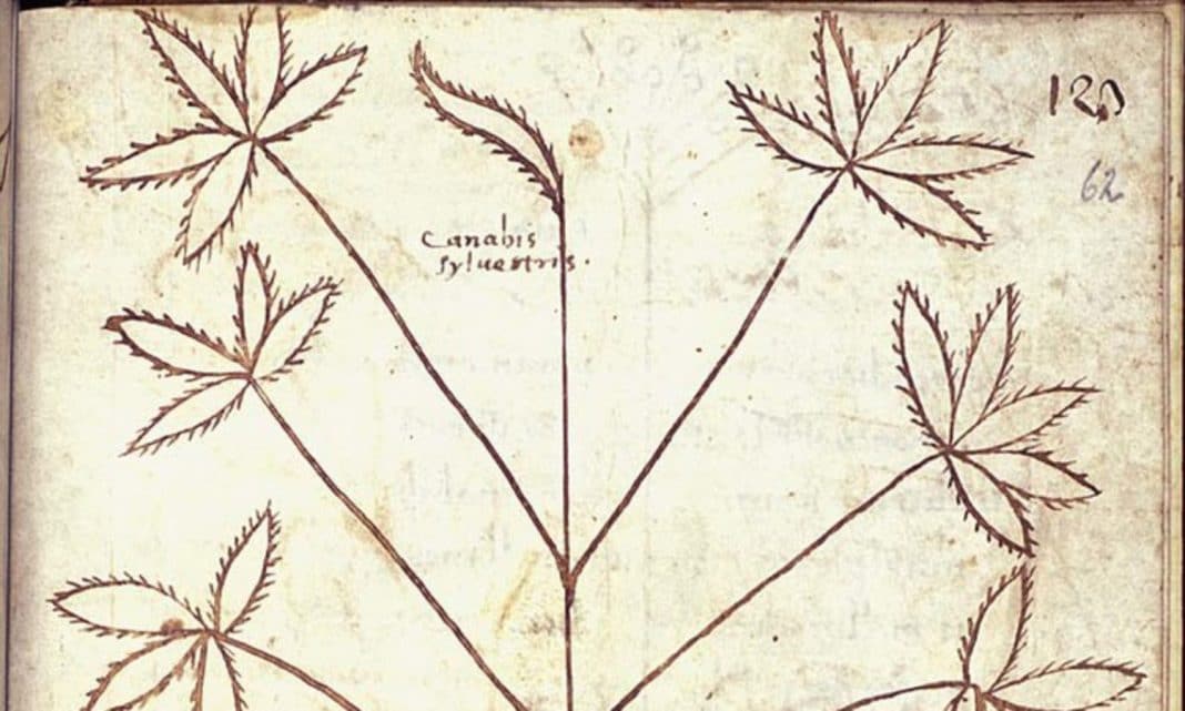 What Is Hash And Why Is It Making A Comeback? - LA Weekly