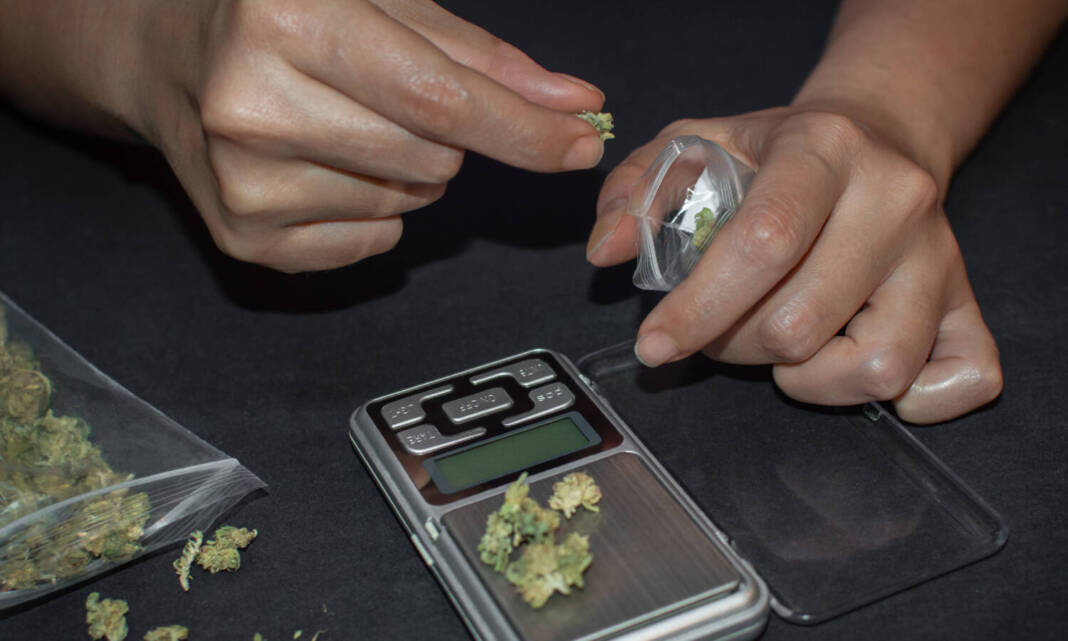 Everything To Know About Weed Measurements - The Fresh Toast
