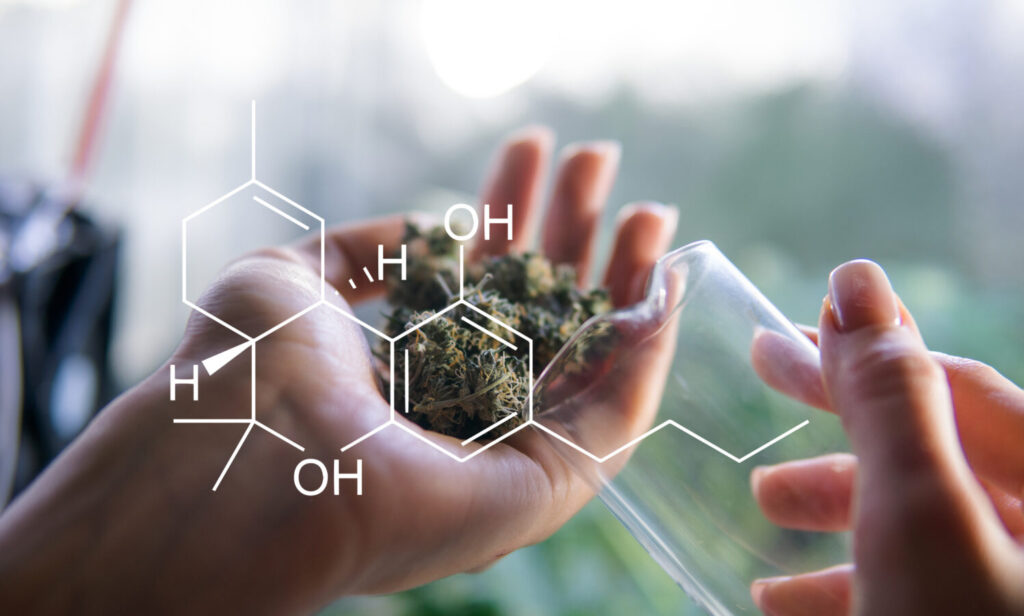 Understanding THC And TAC On Cannabis Labels - The Fresh Toast