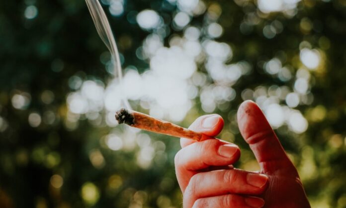 NY Native Lands Are Selling Weed - The Fresh Toast